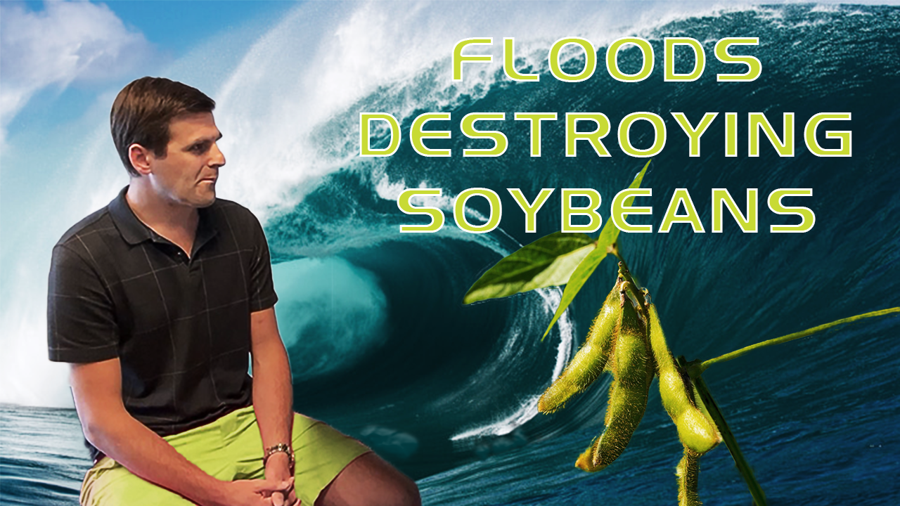Zaner Marketcast Episode 10: Flooding Destroys Soybeans Production Zaner Marketcast Episode 10: Flooding Destroys Soybeans Production